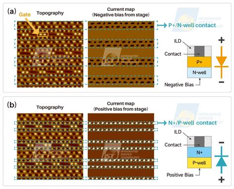 C Afm Defect Analysis Precisely Identifies Defects In Chips