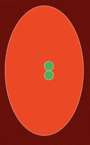 Insect Development Flashcards Quizlet