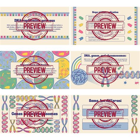 Dna Structure Worksheet Engaging Exercises With Answers