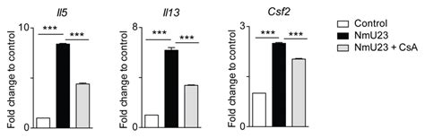 Neuronal Regulation Of Type 2 Innate Lymphoid Cells Via Neuromedin U Pmc