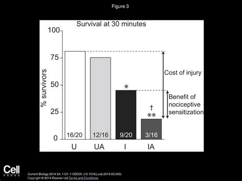 Nociceptive Sensitization Reduces Predation Risk Ppt Download