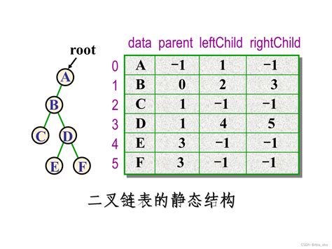 数据结构与算法要点总结（5）：树、二叉树、森林、堆、huffman树数据结构与算法 森林 Csdn博客