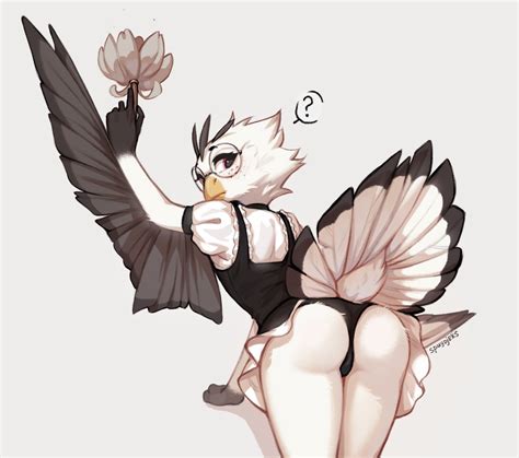 Deeroni Cfz On Twitter Rt Spuydjeks