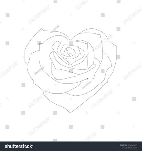 Flower Line Art Minimalist Contour Drawing Stock Vector Royalty Free