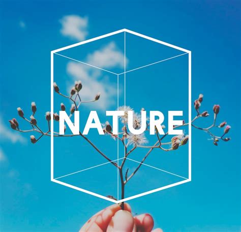 합성 템플릿 사진 무료 고품질 사진 다운로드 Freepik