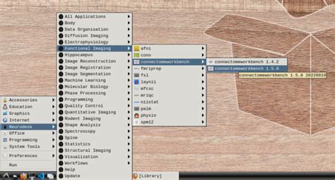 Connectome Workbench Neurodesk