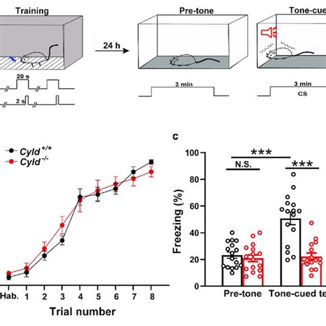 Cyld Knockout Mice Show Impairment Of Tone Cued Fear Conditioned