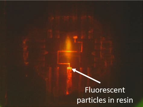 Example Of A Fluorescent Image With Temperature Sensitive Quantum Dots