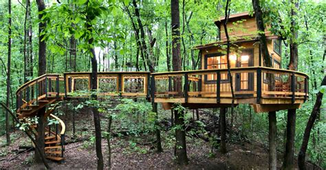 Someone Built An Epic Backyard Treehouse Hideaway With Working Plumbing And Loft Bedroom Diply