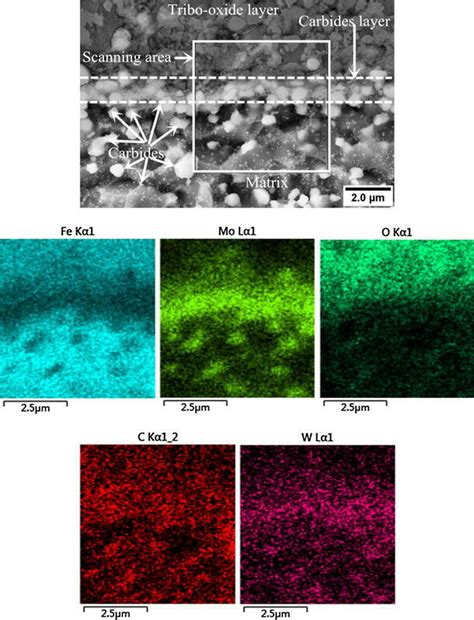 3the Microstructure Of Subsurface And The Energy Dispersive X Ray