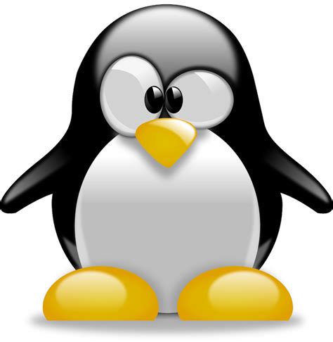 Linux Beginners Guide