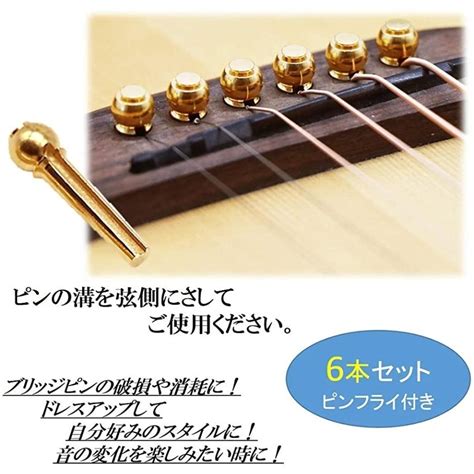 ギターピン ブリッジピン エンドピン 6本 ピン抜き付き アコギ 弦 アコースティックギター 2b6wj9v8fj スピード発送 ホリック