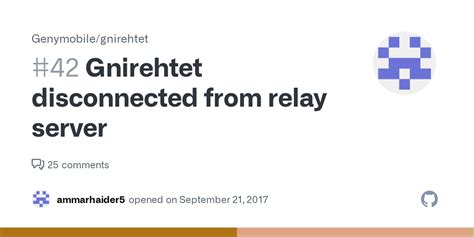 Gnirehtet Disconnected From Relay Server · Issue 42 · Genymobile