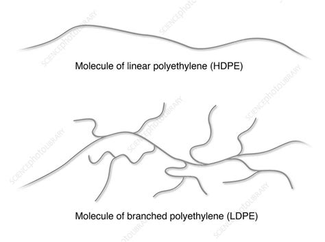 Branched And Linear Polyethylene Stock Image C0262851 Science