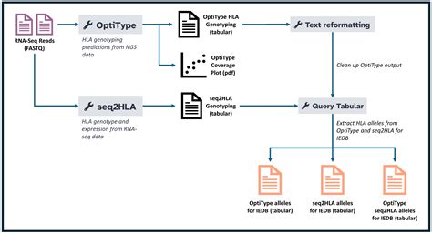 Hands On Neoantigen 6 Predicting Hla Binding Neoantigen 6