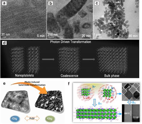 Stimuli Induced Oriented Self Assembly Ac Tem Images Of