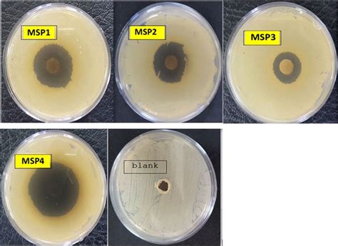 Inhibition Zone Diameters Mm Obtained Of Staphylococcus Aureus In