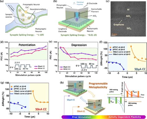Graphene Based Memristive Neuromorphic Device A Schematic Diagram Of