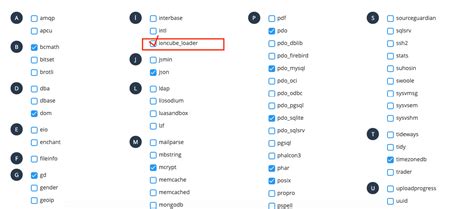 select php version modül ve limit ayarları burtinet