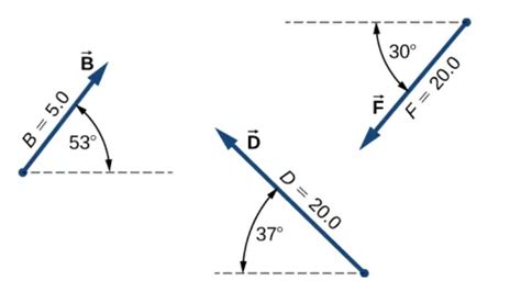 Solved Assuming The X Axis Is Horizontal To The Right Chegg Com