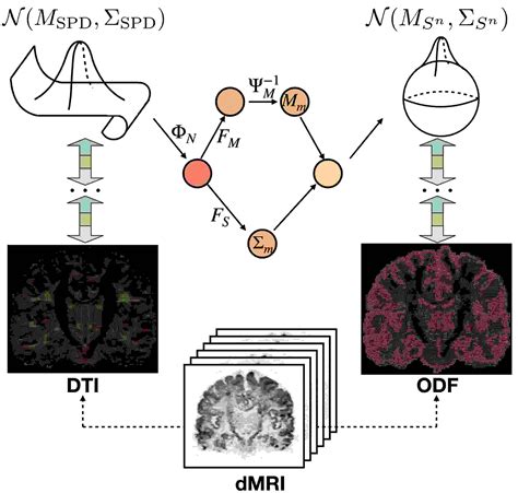 Flow Based Generative Models For Learning Manifold To Manifold Mappings Deepai