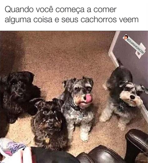 Quando A Minha Mãe Fala Que Eu Tenho Que Lavar A Louça Memes
