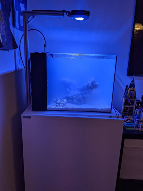 Build Thread My SPS Waterbox Peninsula Mini 15 Reef2Reef