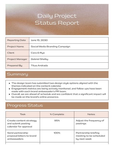 Project Daily Status Report Template Excel
