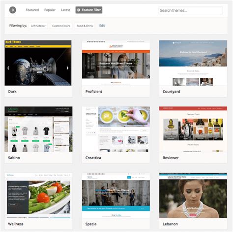 Ultimate Guide To The Theme Feature Filter A Bright