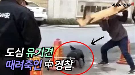 유기견 때려죽인 중국 경찰 그 이유는 Youtube