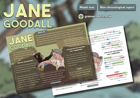Year 2 Model Text Non Chronological Report Jane Goodall Grammarsaurus