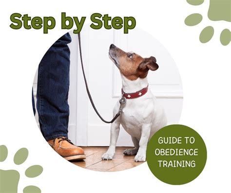 Step By Step Obedience Training Guide For Dog Dogs 4 Life