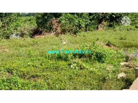 2 Acre Farm Land For Sale Near Mysore Mysore FarmAds In