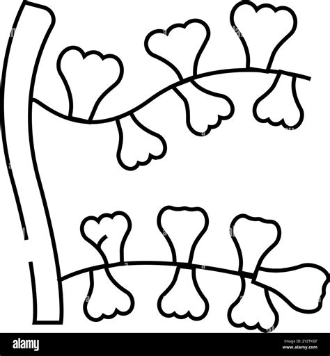 Sargassum Horneri Seaweed Line Icon Vector Illustration Stock Vector