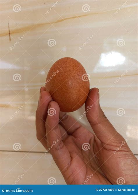 A Chicken Egg Held By A Person With One Hand To Check Whether The Egg