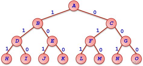 回溯算法小结回溯法搜索树分类 Csdn博客
