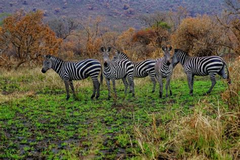 12 Most Beautiful Places In Rwanda To Visit CRAZY NEWSX