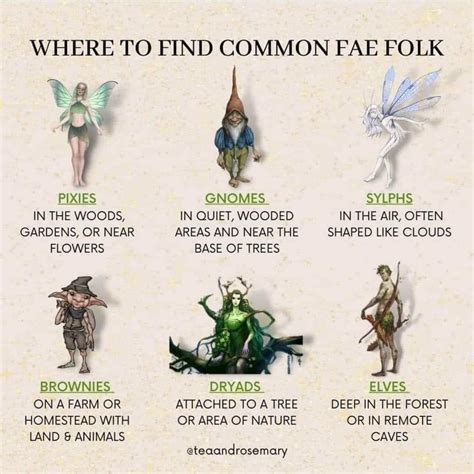 Where To Find Common Fae Folk Artofit