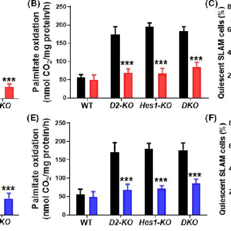 Knockdown Of Ppar Ɣ Or Cpt1 Reduces Fatty Acid Oxidation Fao And