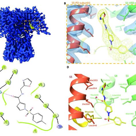 Workflow Of Structure Based Drug Design Sbdd Download Scientific Diagram