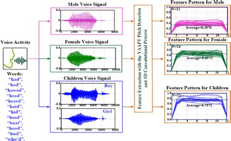 human vowel voice signals and feature patterns male female and