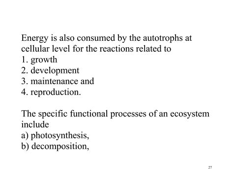 Ecosystem And Its Components PDF