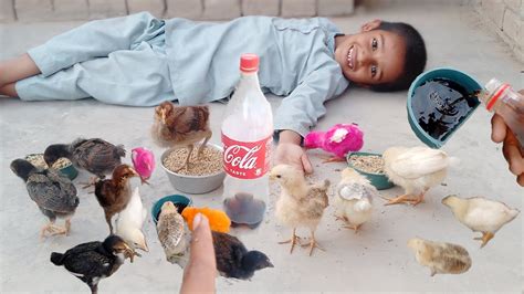 Chicks Care Challenge In Garmi 😱 Youtube