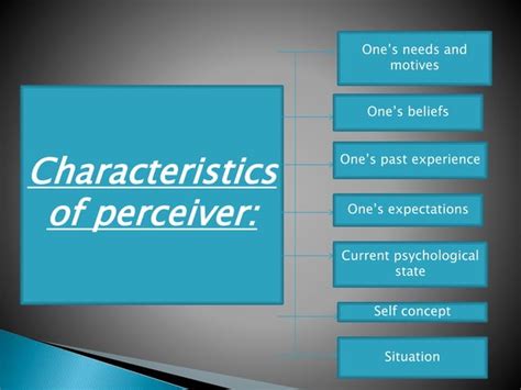 Perception And Consumer Behaviour Pptx