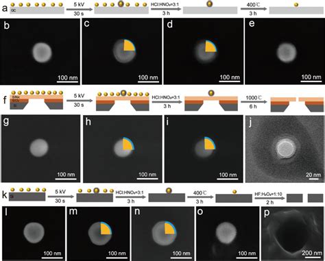 Preparation And Structural Characterization Of Individual Au
