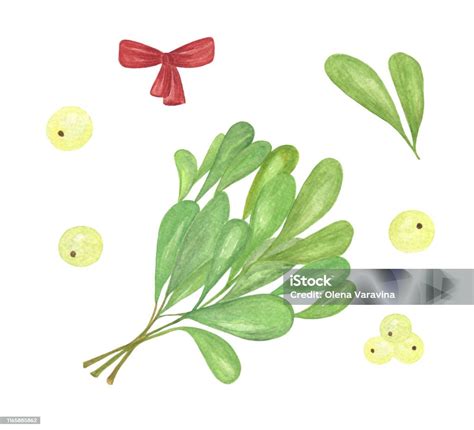 수채화 전통적인 크리스마스 겨우살이 식물 요소 손으로 그린 그림 메리 크리스마스와 새해 복 분 패턴 개체 그룹에 대한 스톡 벡터