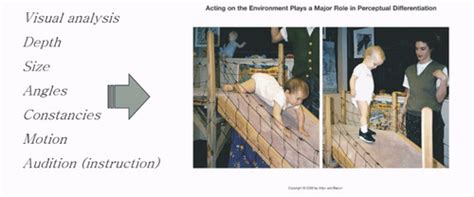 Lecture Six Perceptual Knowledge And Action In Infancy Flashcards