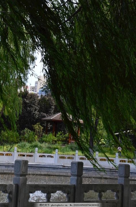 园林风景图片园林设计建筑空间 图行天下素材网