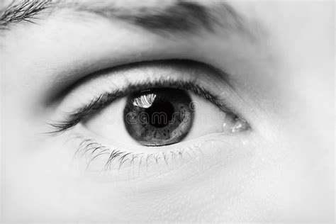 A Beautiful Insightful Look Man`s Eye Close Up Shot Stock Image