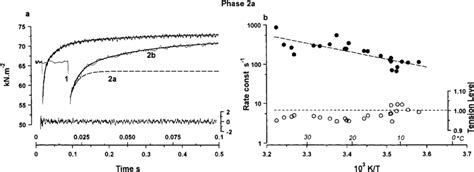 A An Individual Tension Transient Top Trace Left Ordinate In Kn M 2 Download Scientific
